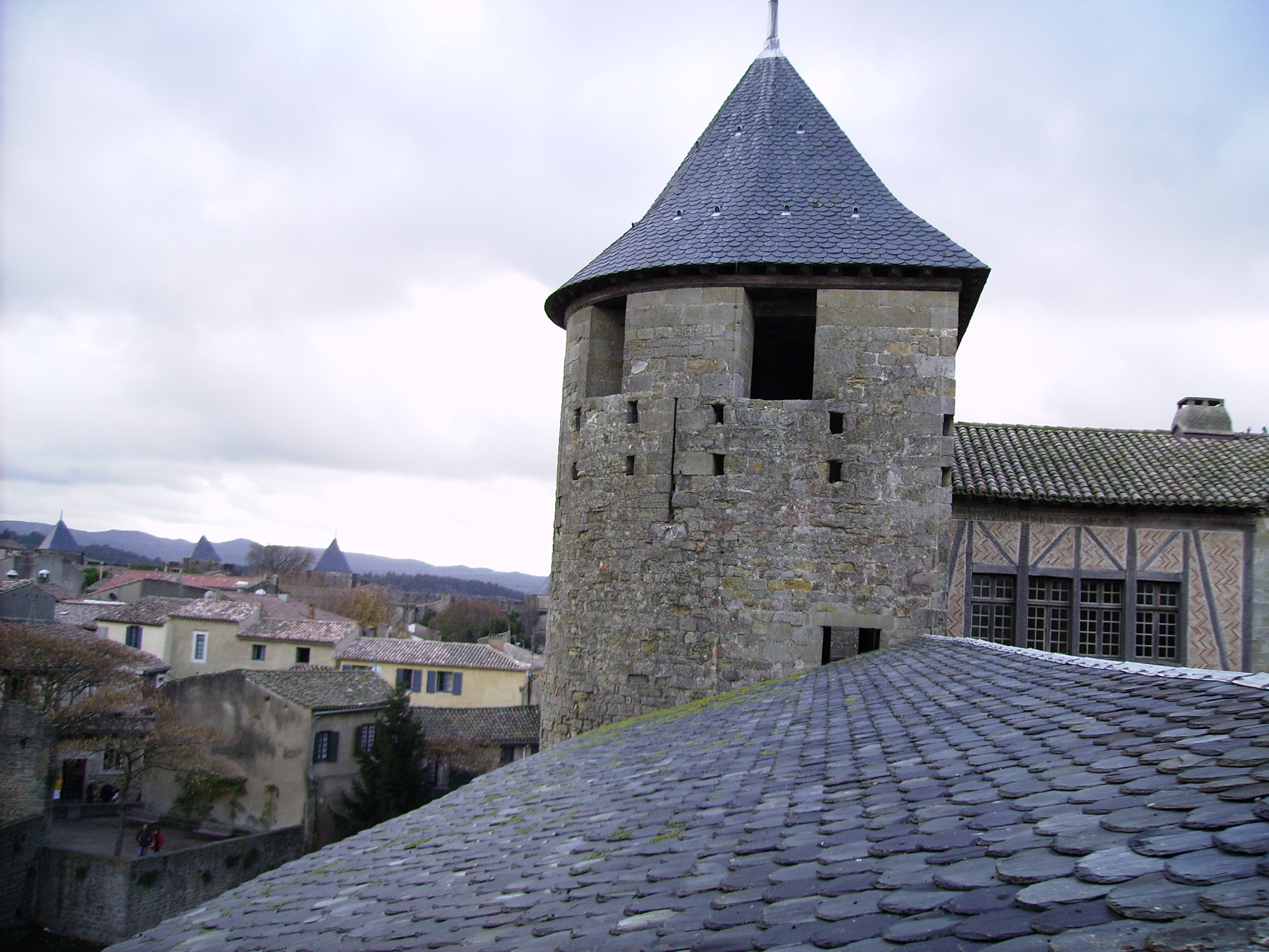 Crowning Glory Unveiled: The Art and Science of Chateau Roof Renovation ...