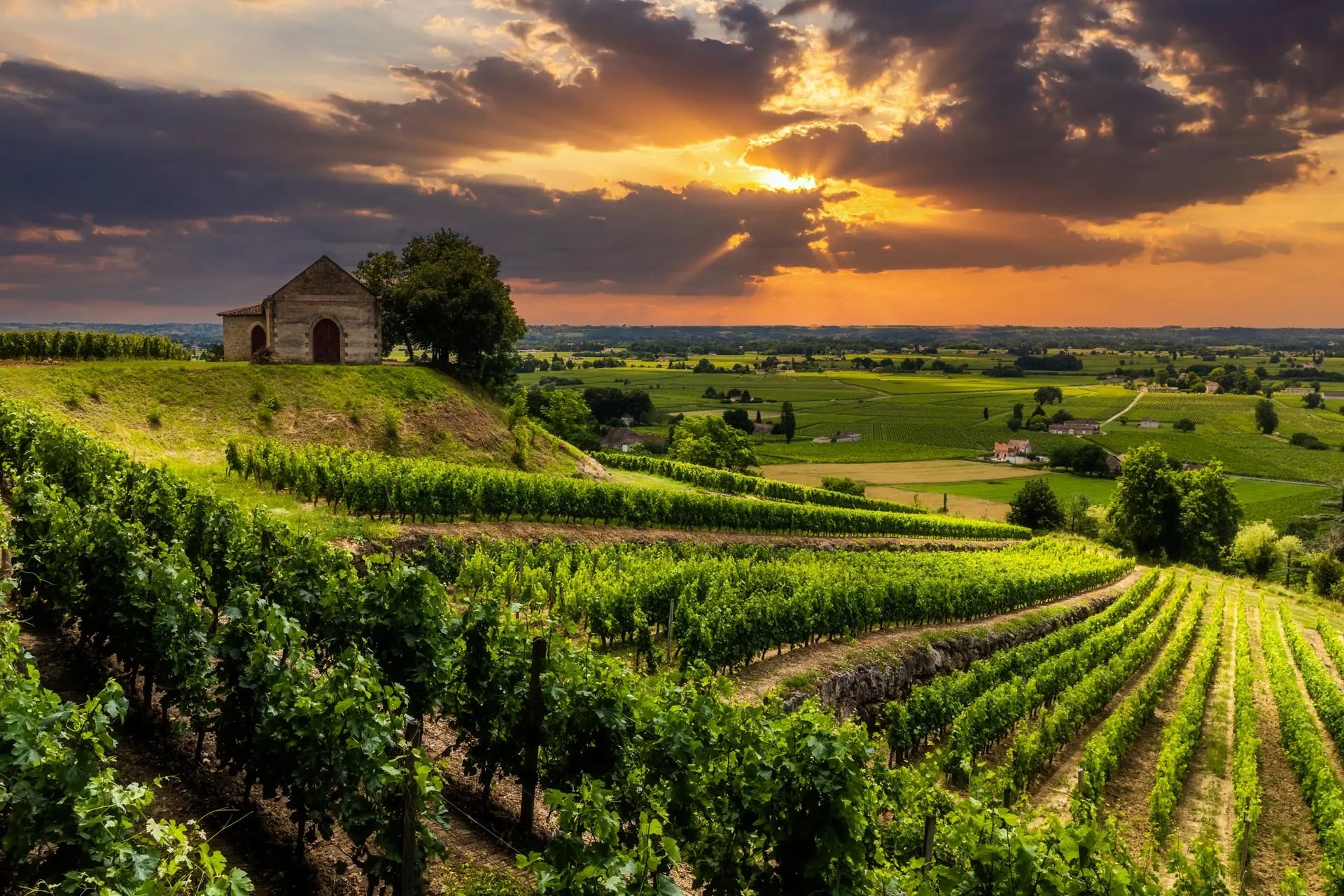 A Guide to Living and Loving Life in the French Countryside - Saving ...